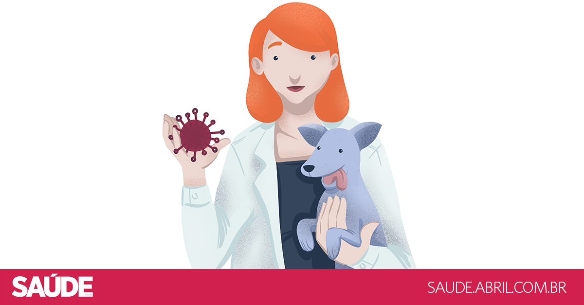 Evolução no tratamento contra o câncer em animais | Veja Saúde